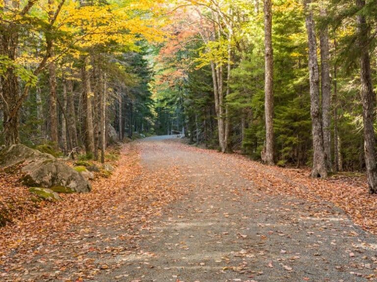 25 Fun Things to Do in Acadia National Park When It Rains