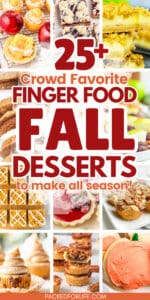 25+ Fall Finger Food Desserts That Will Wow Every Crowd