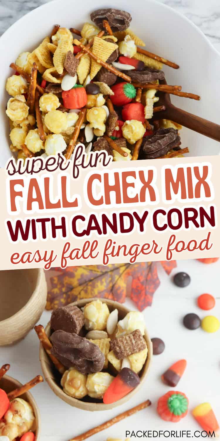 Sweet and Salty Fall Snack Mix