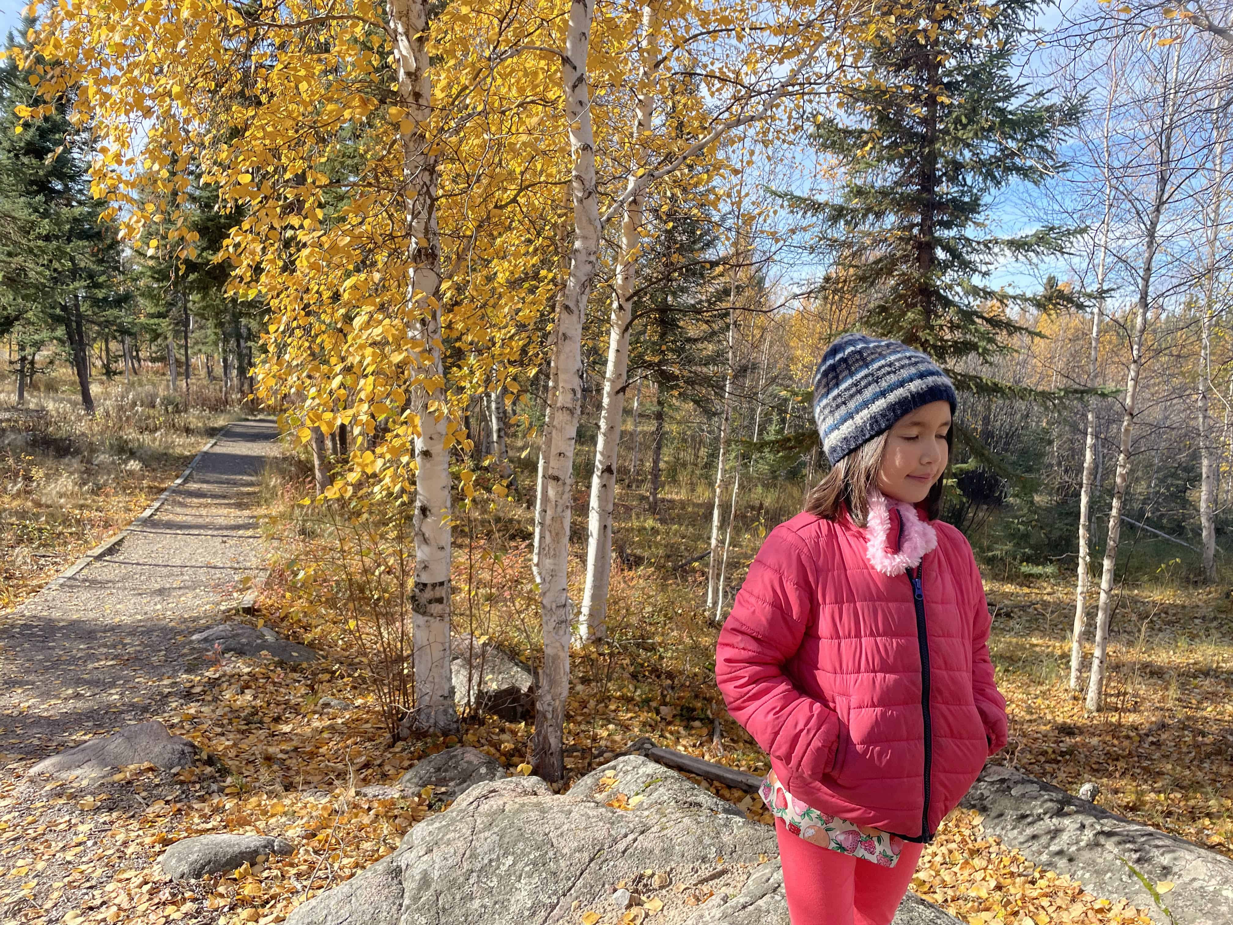 50+ Fall Bucket List Ideas To Keep Your Family Entertained All Season ...