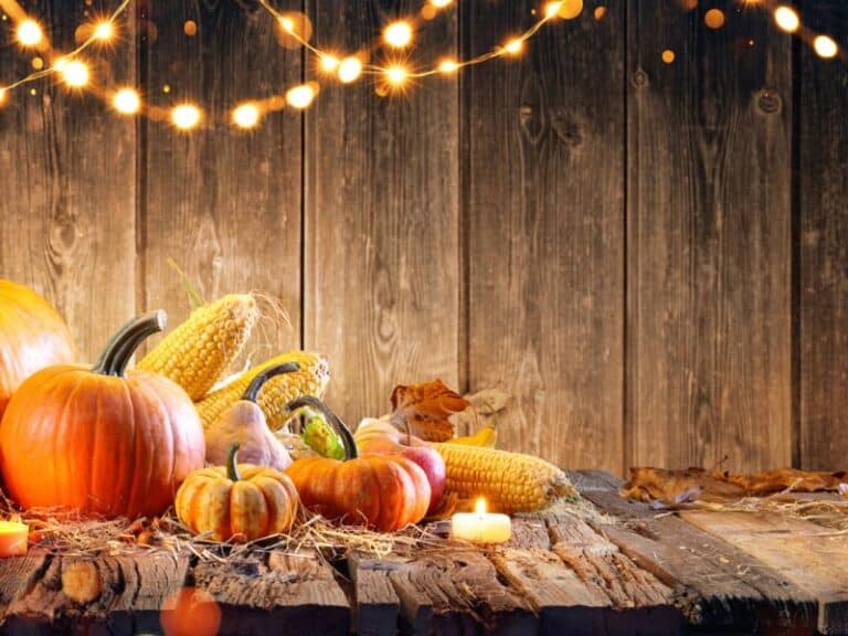 50+ Fall Bucket List Ideas To Keep Your Family Entertained All Season ...