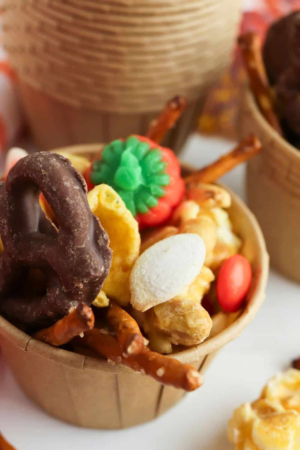 Sweet and Salty Fall Snack Mix