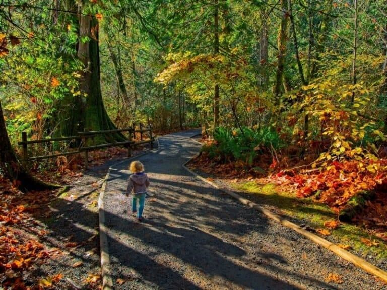 Top 5 Parks in Victoria, BC