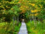 25 Fun Things to Do in Acadia National Park When It Rains