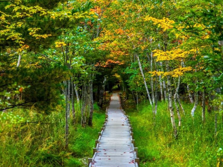 25 Fun Things to Do in Acadia National Park When It Rains