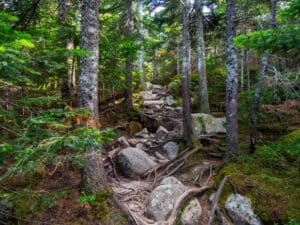 What To Do In Maine In May: Ultimate Spring Guide