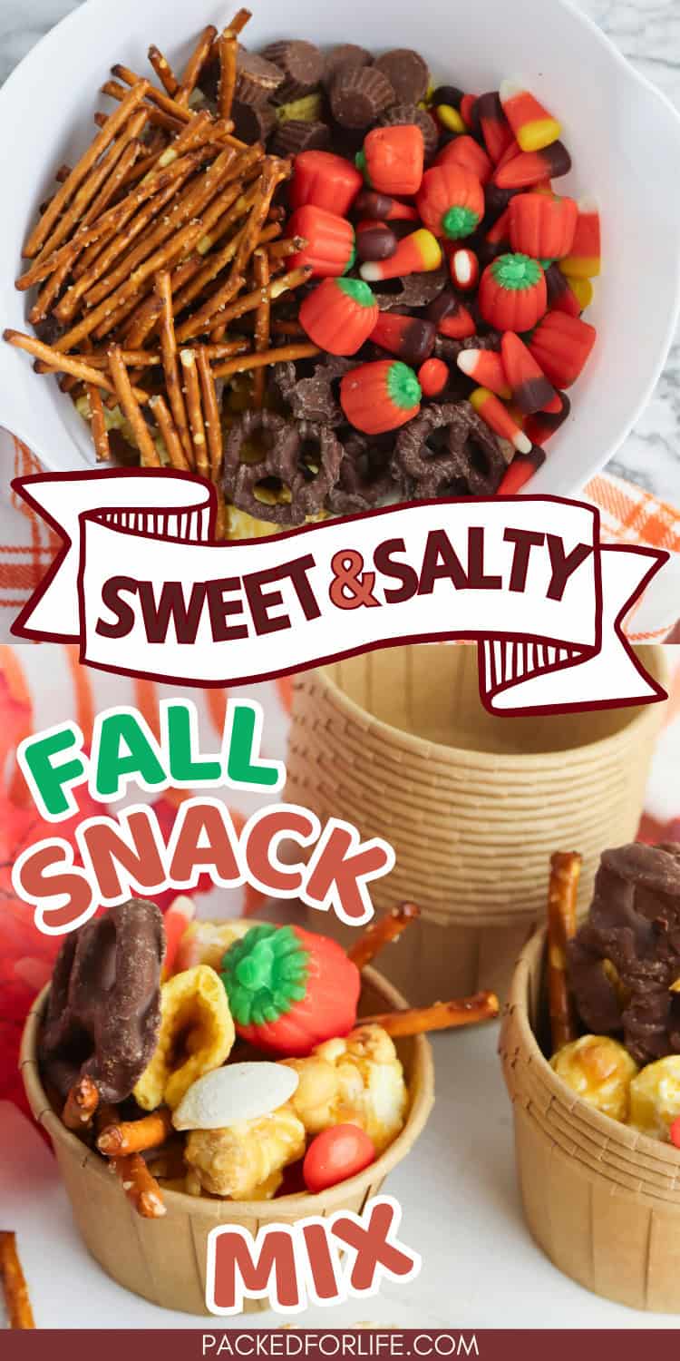 Sweet and Salty Fall Snack Mix