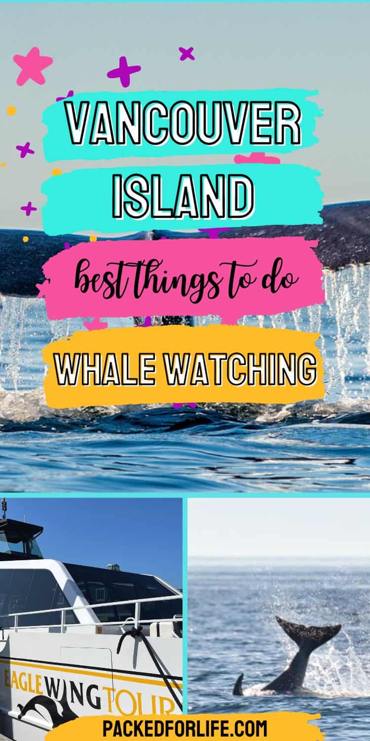 Best Whale Watching Tours Vancouver Island – A Local’s Guide