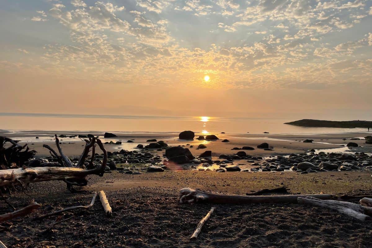 35+ Kid-Friendly Beach Activities For The Ultimate Beach Day
