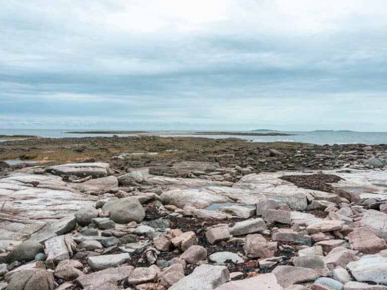 25 Fun Things to Do in Acadia National Park When It Rains