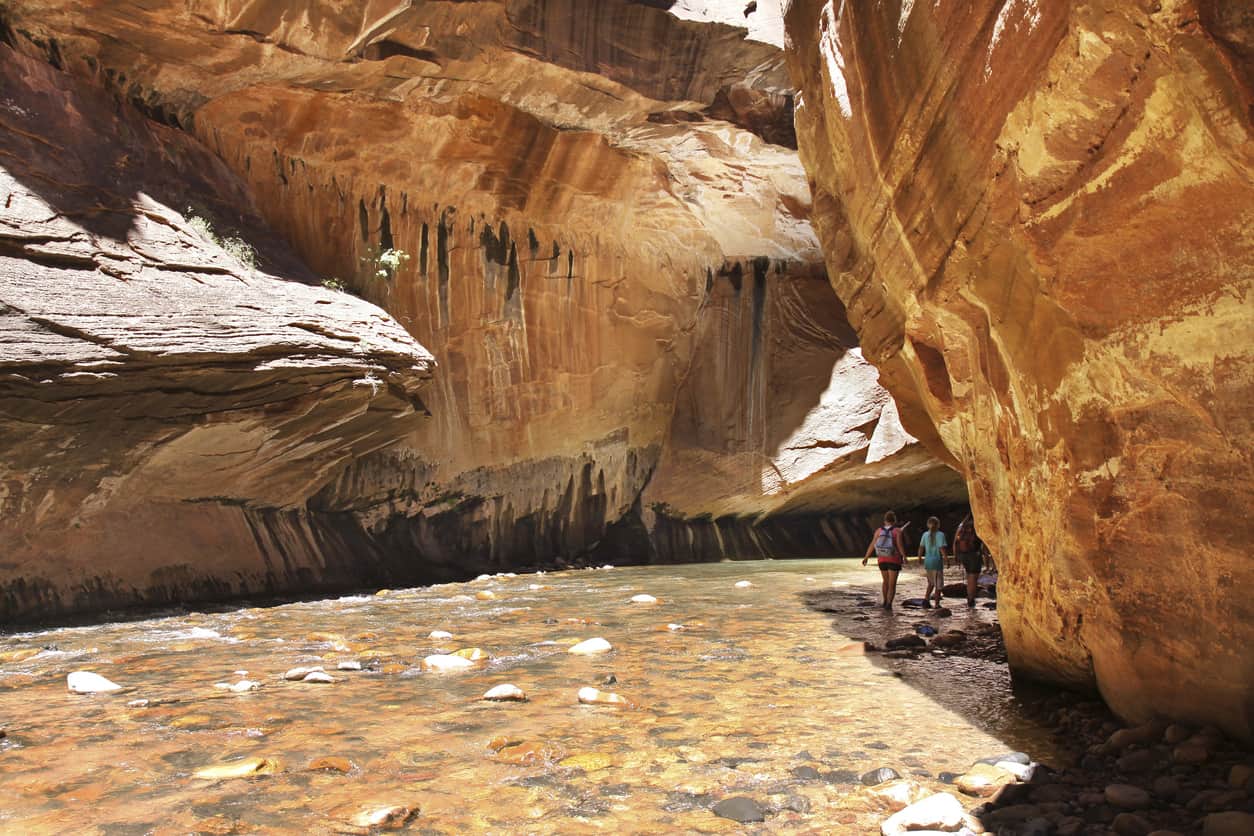 Zion With Kids: 10 Tips to Avoid The Heat And Crowds